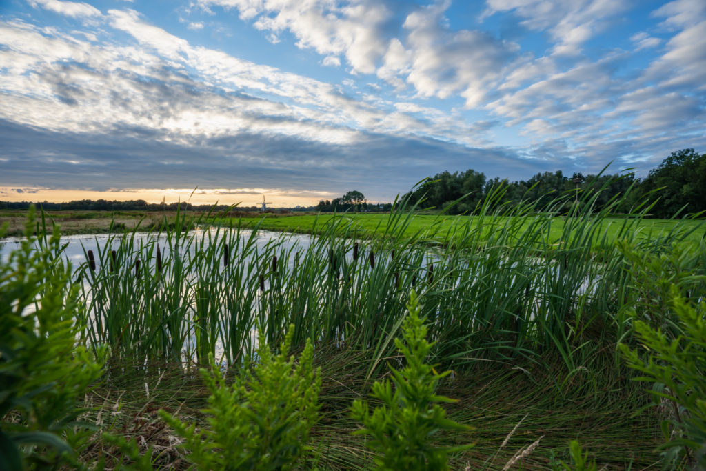 Corre Energy Expands Operations to North America | Corre Energy